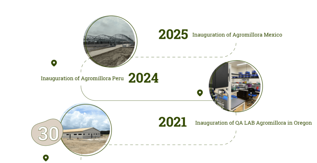 Our History | Agromillora Group