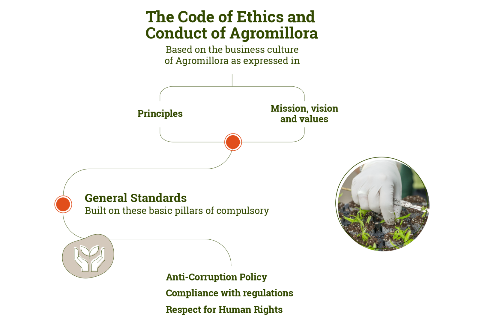 Social Commitment - Code of ethics | Agromillora Group