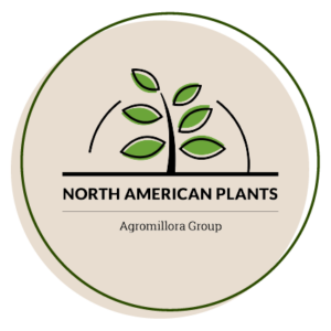 Agromillora: Global Leaders in Plant Propagation & Innovation