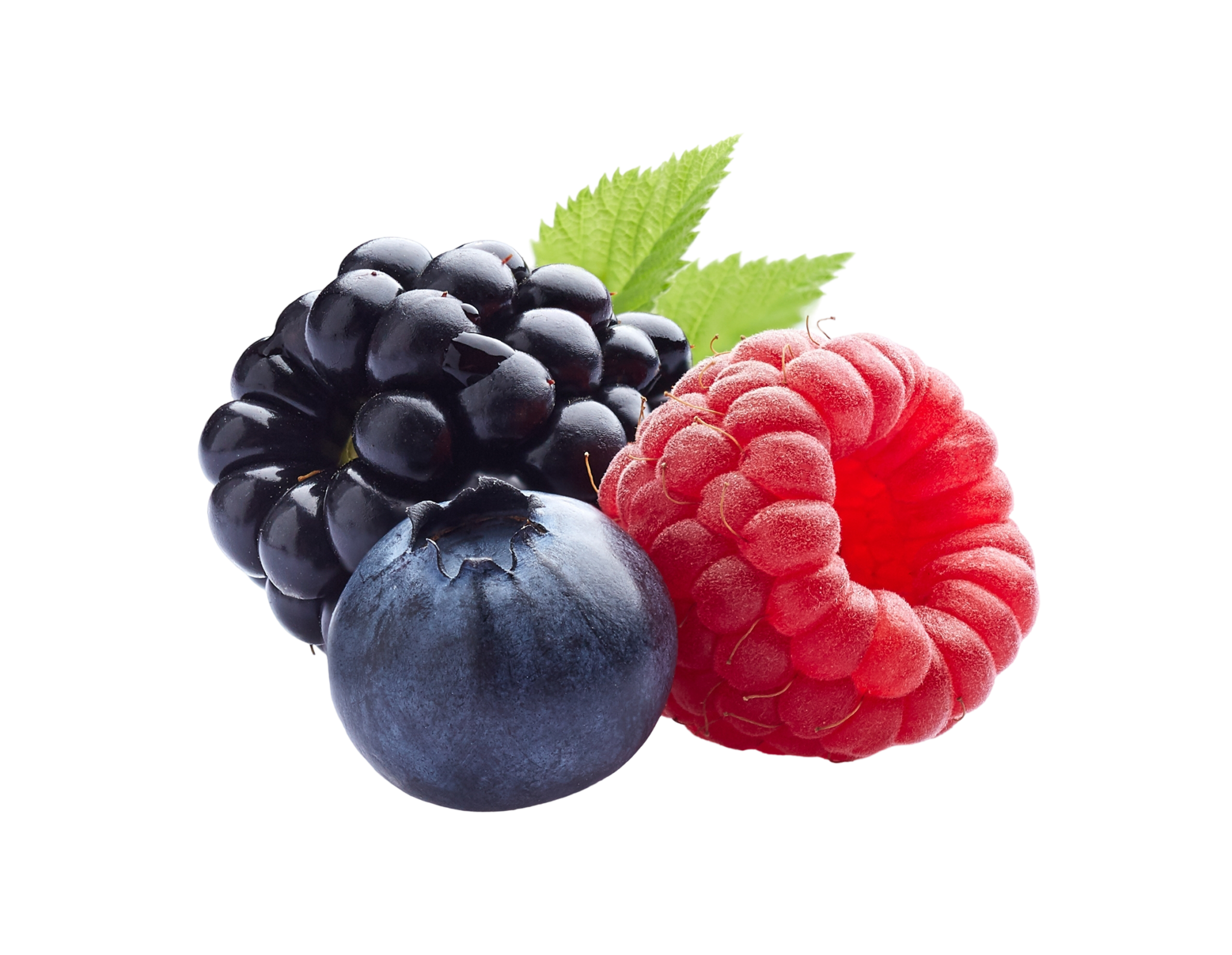 Berries | Agromillora Group